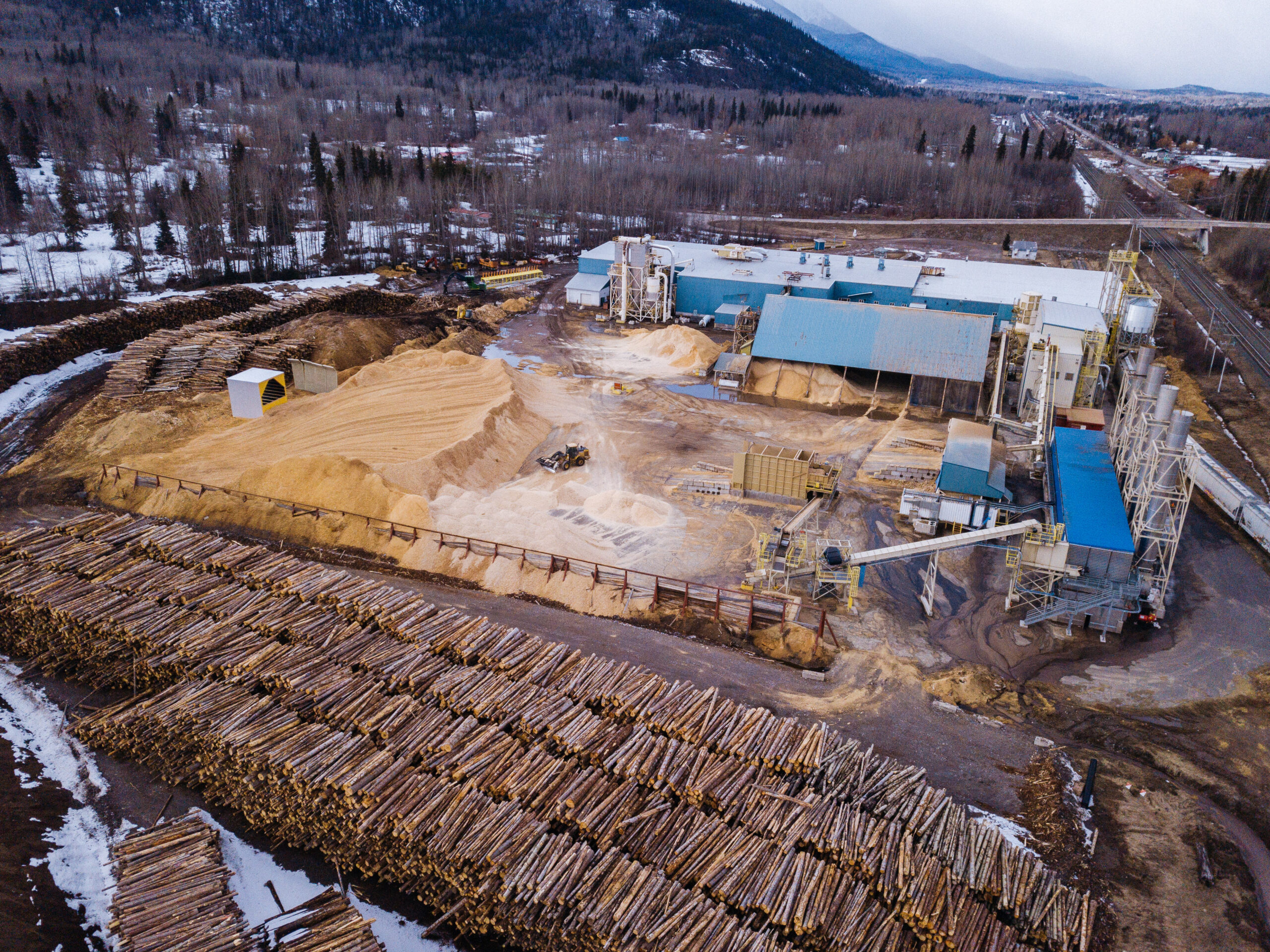 Biomass burning of trees is worse than burning coal
